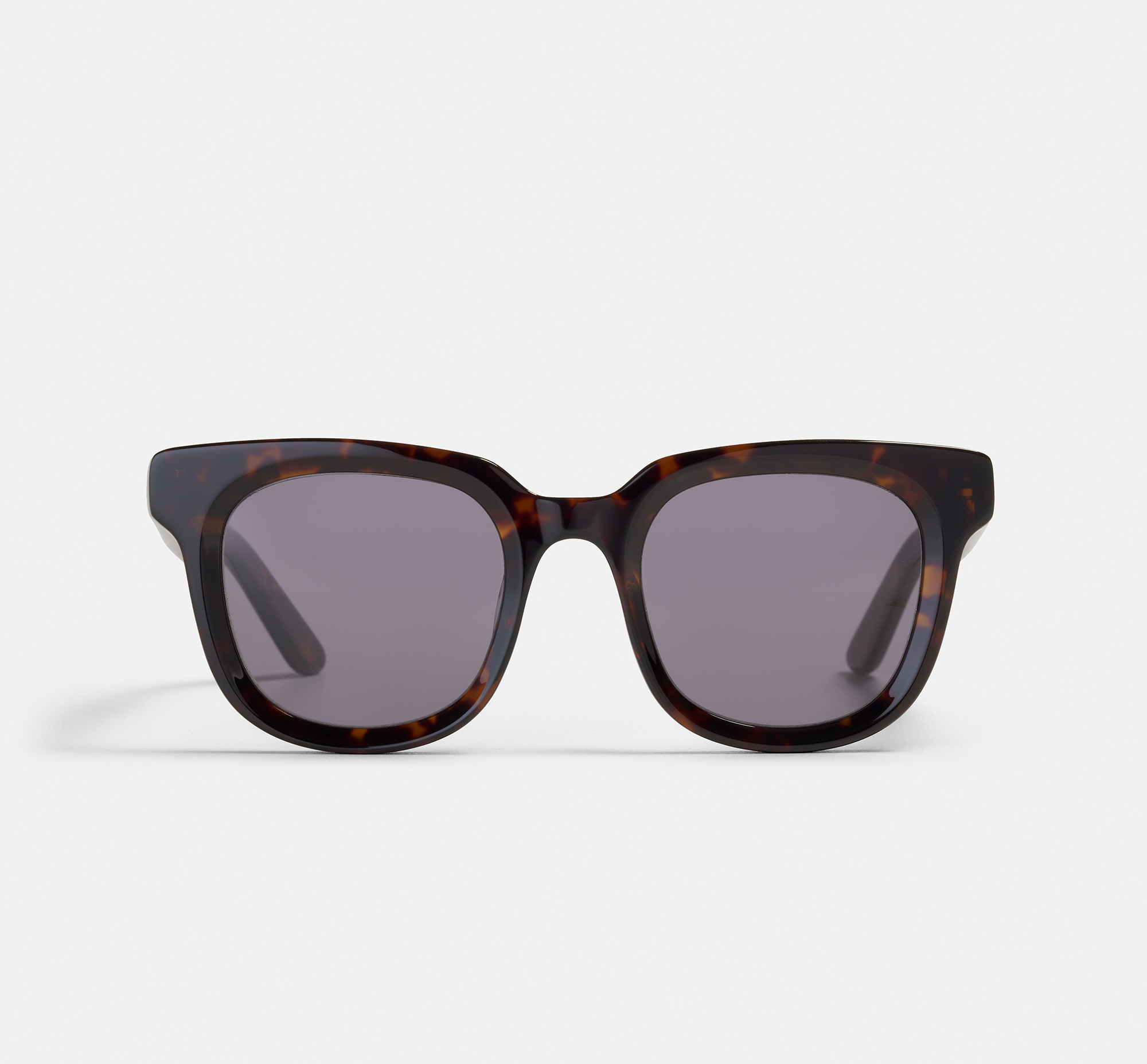 Eleanor Mulberry Tree | Round Acetate Sunglasses | Ace & Tate